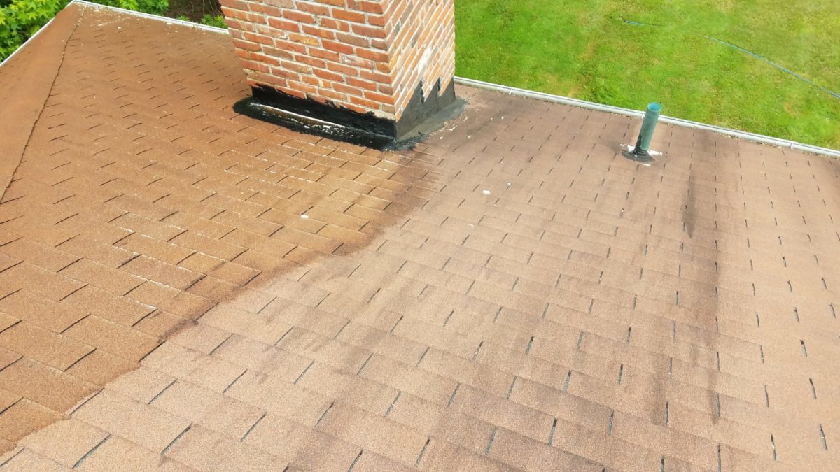 Roof Cleaning - Protect Your Roof, Home, and Wallet